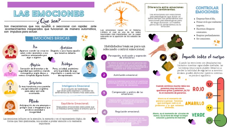 Mapa Conceptual de Las Emociones 4 | PDF