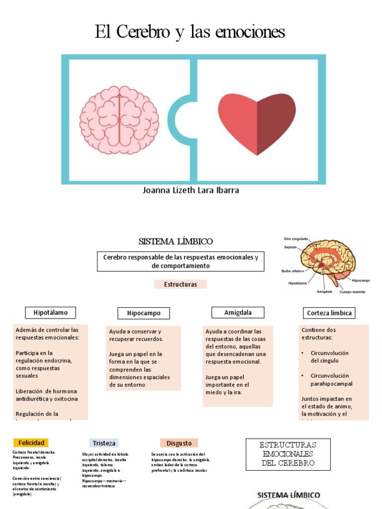 Sistema límbico y emociones del cerebro | PDF