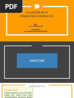 Anatomi Lengkap Esofagus | PDF