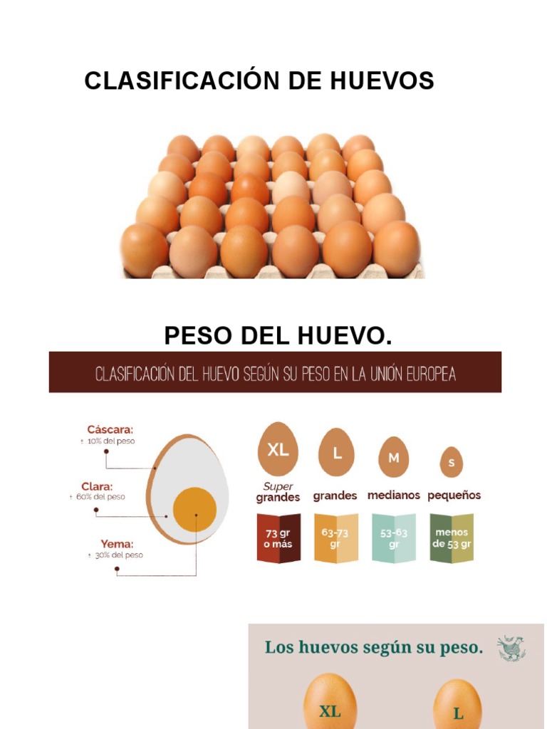 Clasificación de Huevos Concepcion | PDF