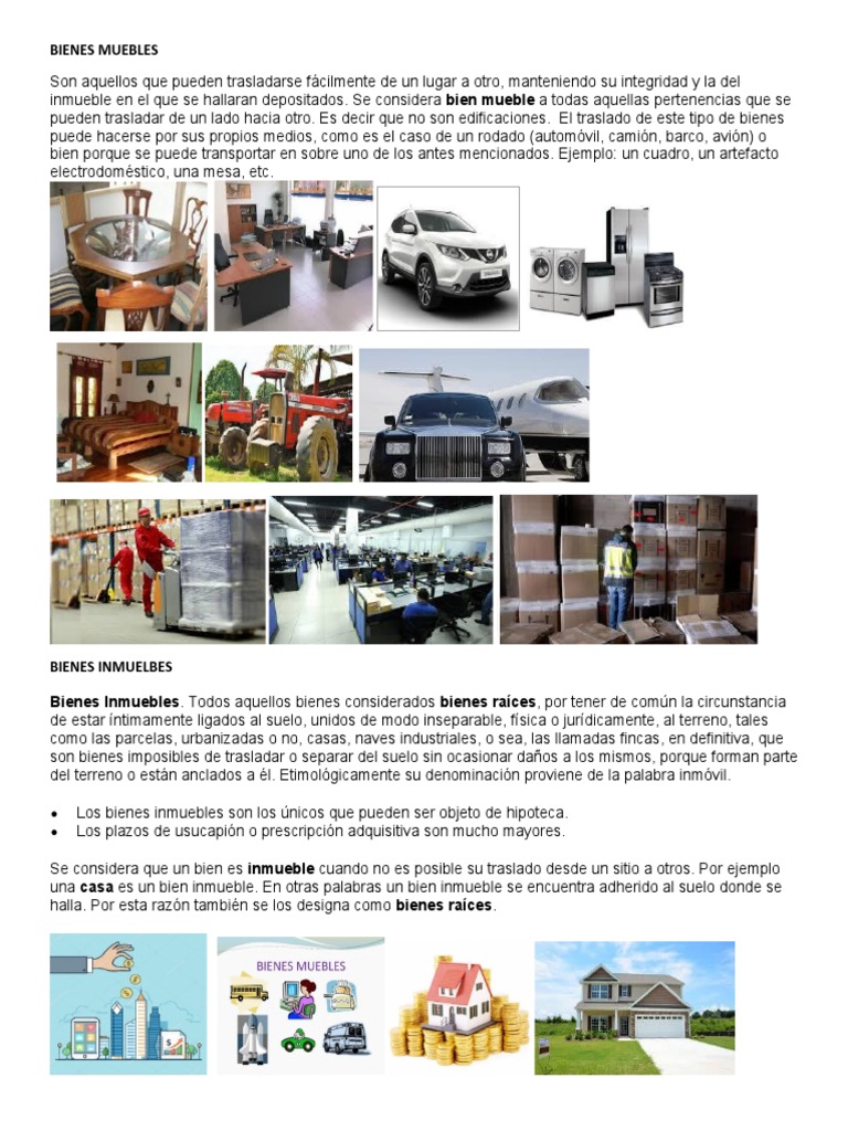 BIENES MUEBLES | PDF