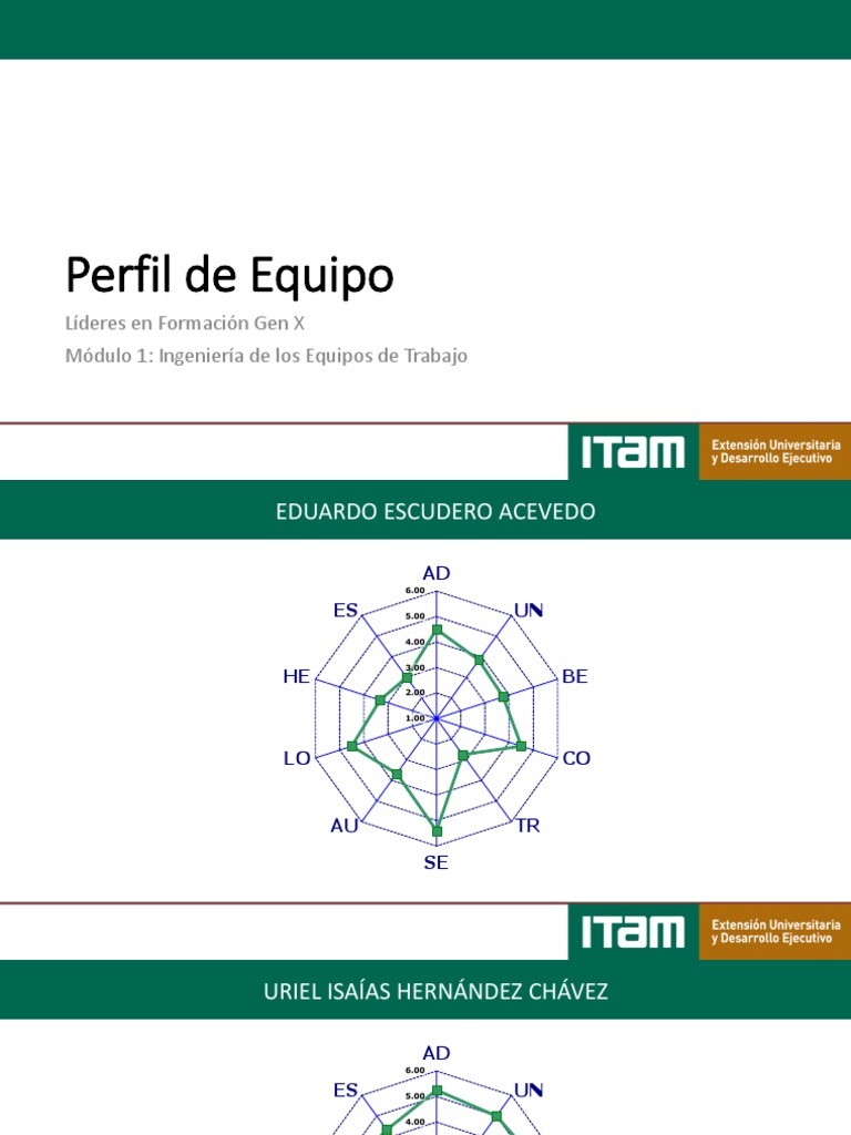 Perfil de Equipo C | PDF