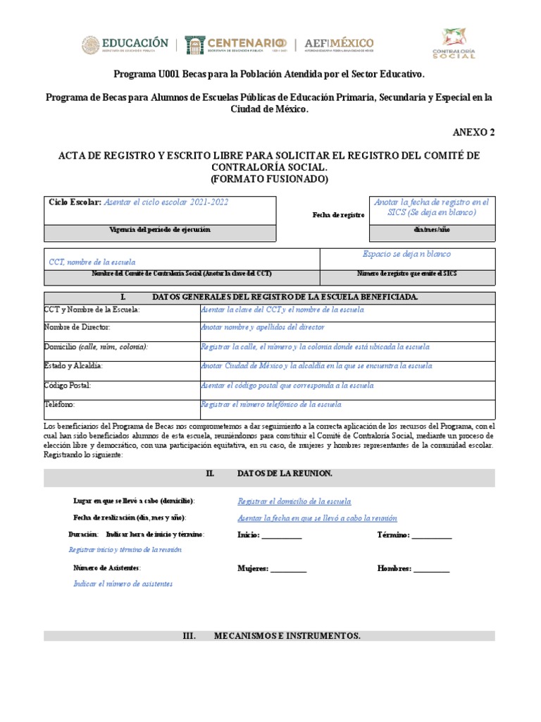 ANEXO 2 Instructivo | PDF