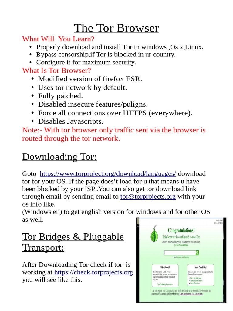 The Tor Browser | PDF