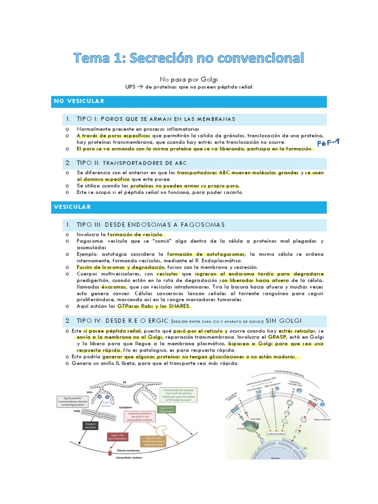 Solemne 2 Bio Cel | PDF