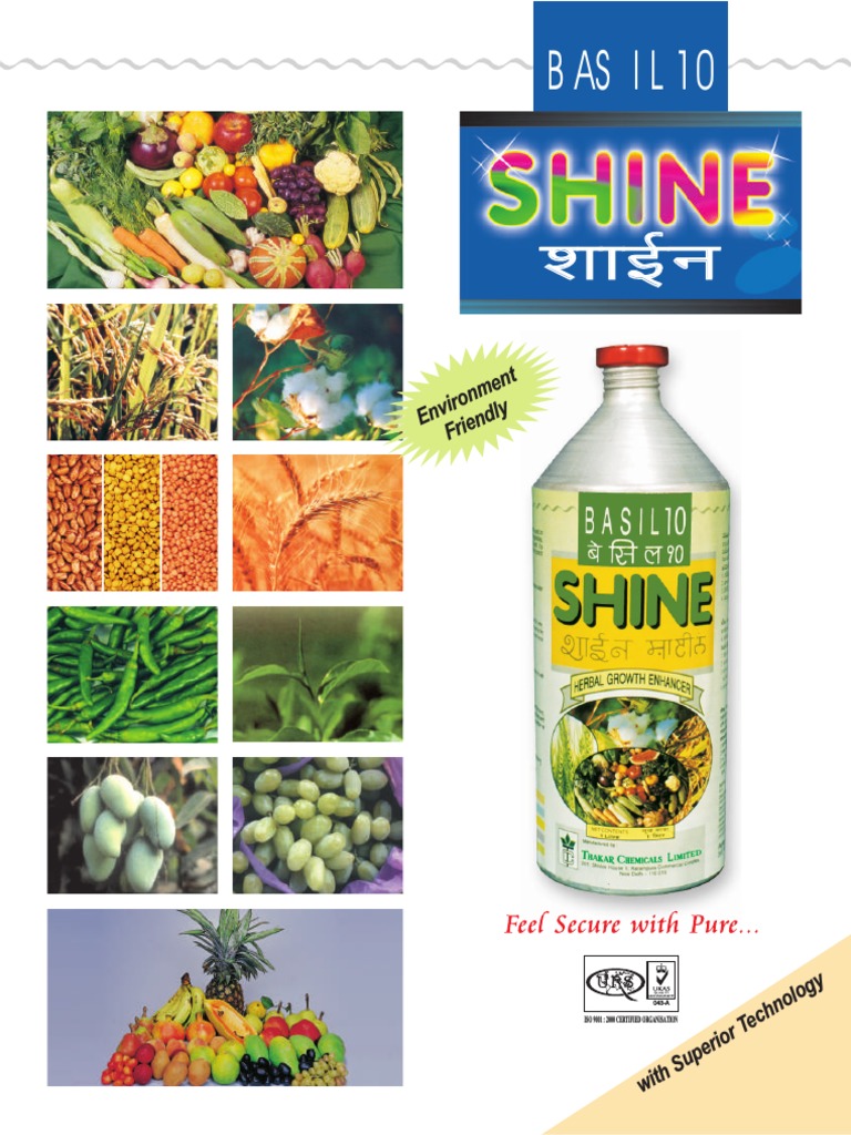 Shine | PDF