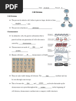 Mitosis Mover Activity Guide | PDF | Mitosis | Chromosome