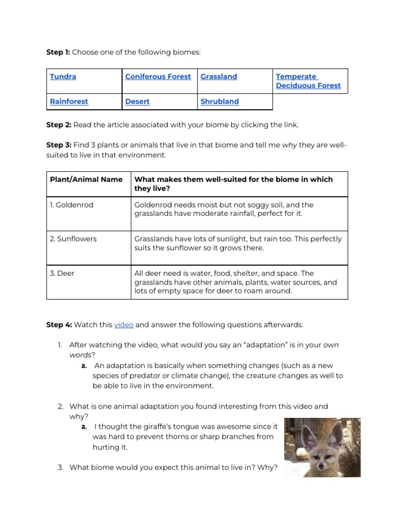 Biome Adaptations Webquest Guide | PDF | Science & Mathematics