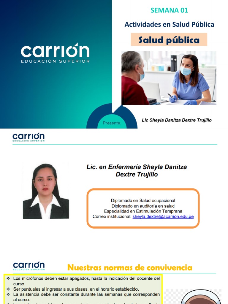 Lineamientos y Objetivos en Salud Pública | PDF | Relaciones personales, crianza y desarrollo ...