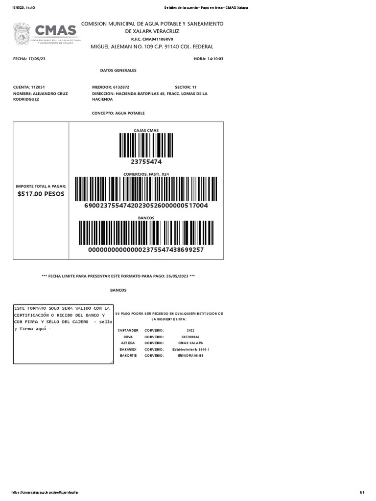 Detalles de La Cuenta - Pago en Linea - CMAS Xalapa | PDF