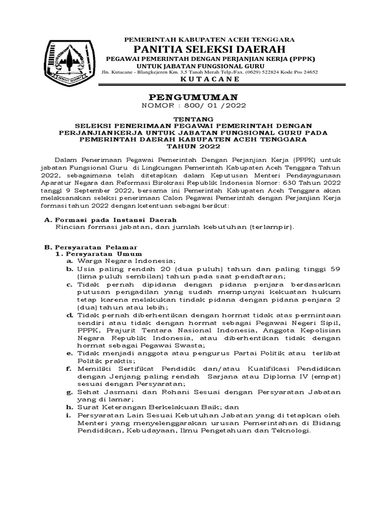 Pengumuman P3K | PDF