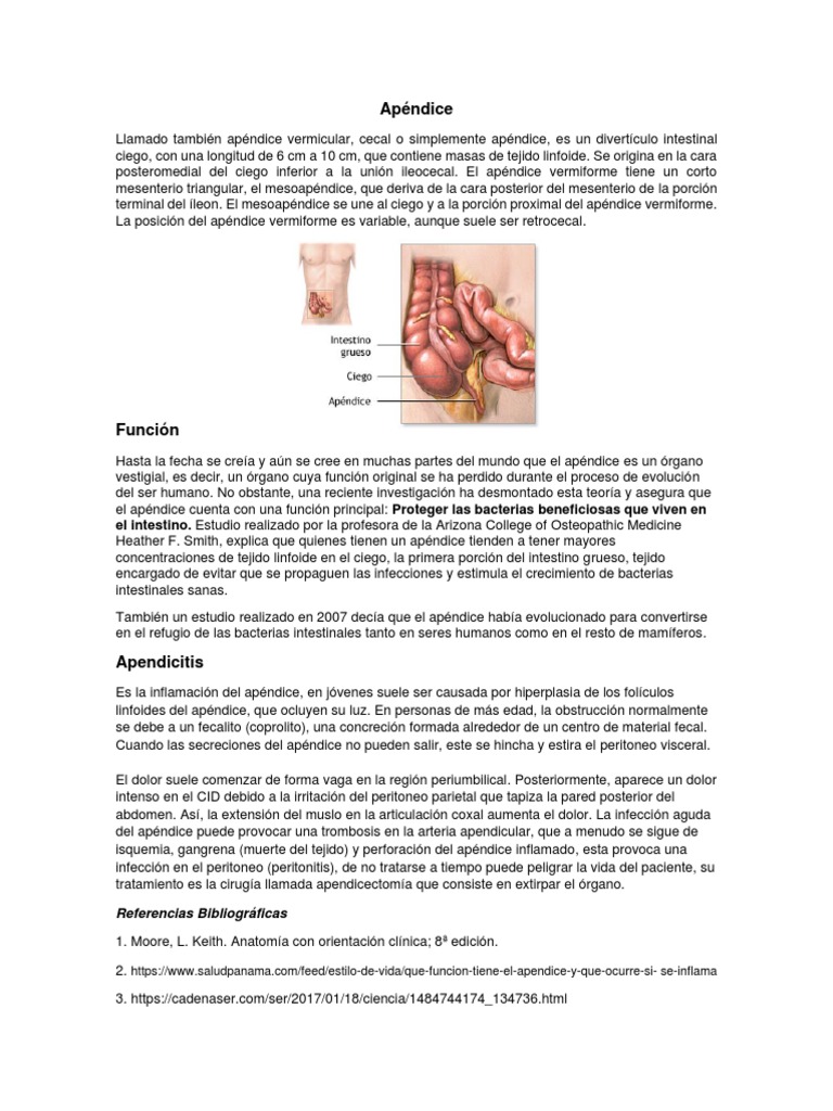 Apéndice | PDF | Ciencias sociales | Ciencia y matemática