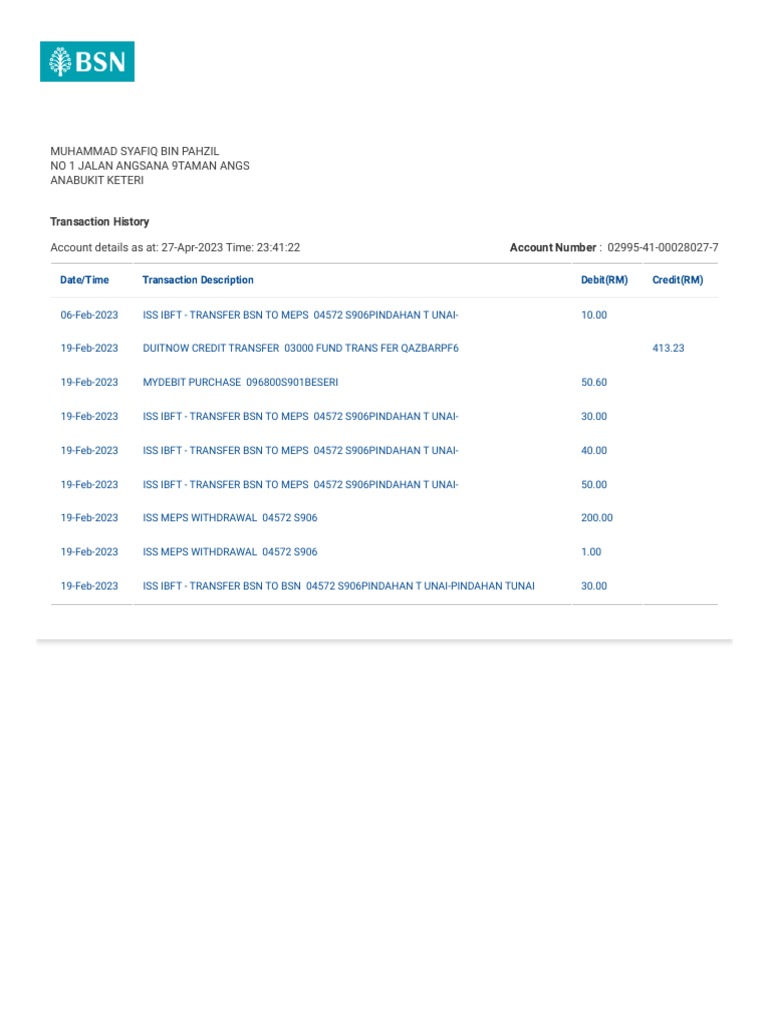 BSN Transaction History Overview | PDF