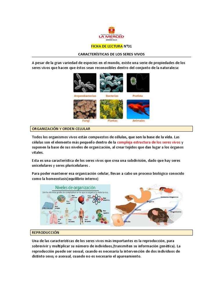 Ficha Lectura Característica Seres Vivos | PDF