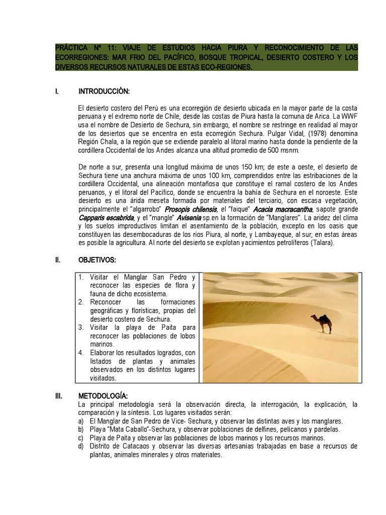 Guia de Practica para El Viaje | PDF