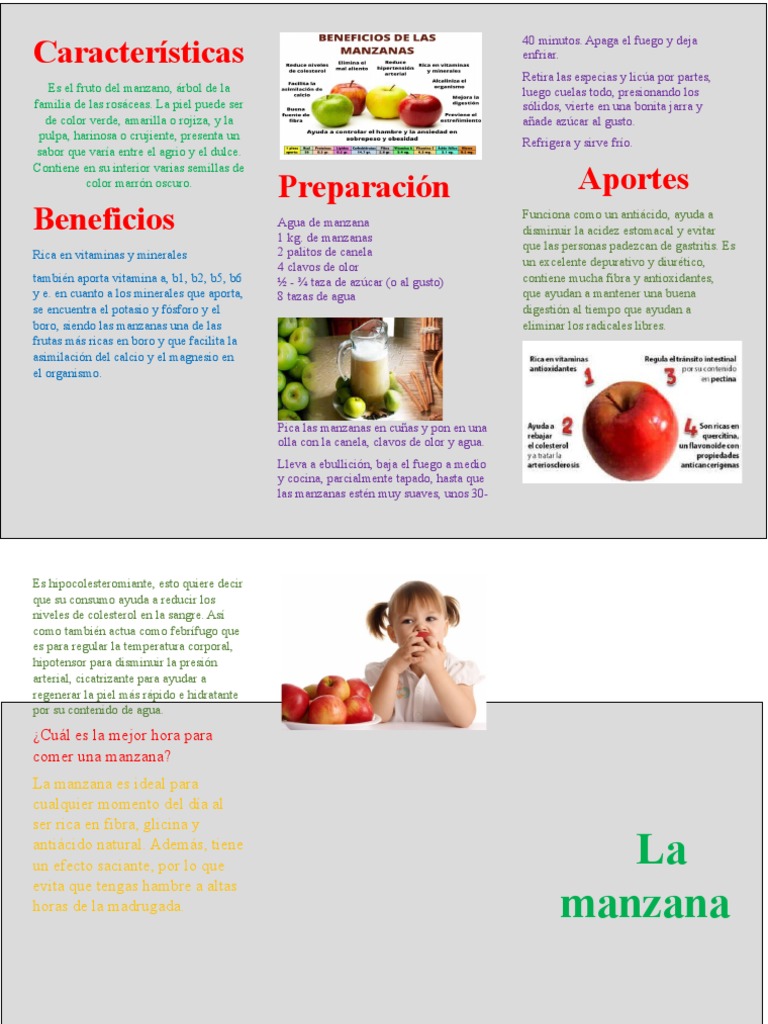 Triptico La Manzana Mauricio | PDF