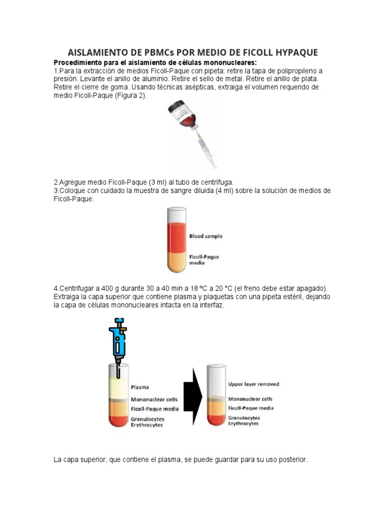 AISLAMIENTO DE PBMCs POR MEDIO DE FICOLL HYPAQUE | PDF