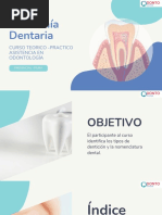 Nomenclatura Dentaria - El Código Internacional (FDI) | PDF | Diente ...