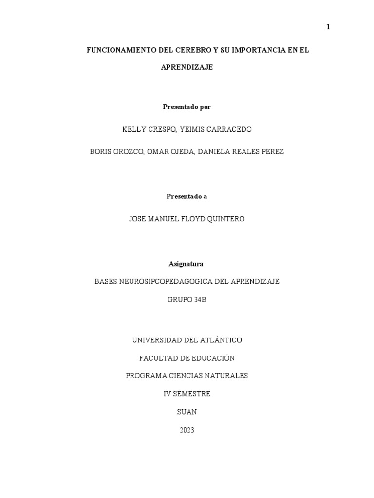 Funcionamiento Del Cerebro Y Su Importancia En El Aprendizaje 2 Pdf