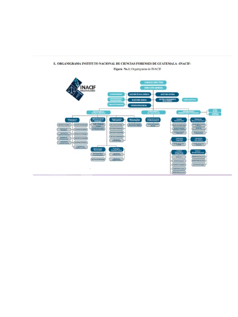 Organigrama Inacif | PDF
