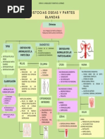 Formula Obstetrica, Calculo de La Edad Gestacional, FPP y Ponderado ...