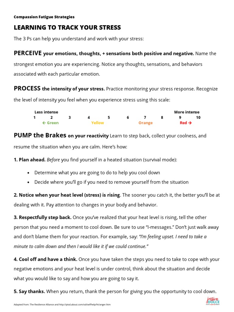 CFS Stress Tracker | PDF