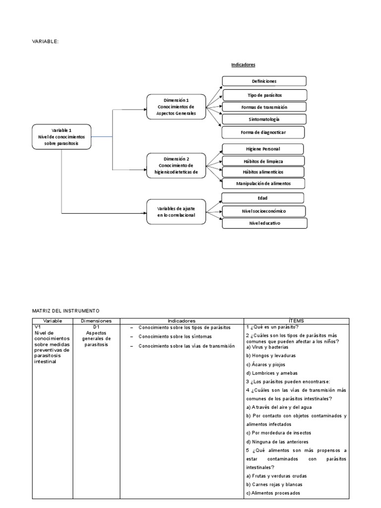Variable Definicion Operacional | PDF