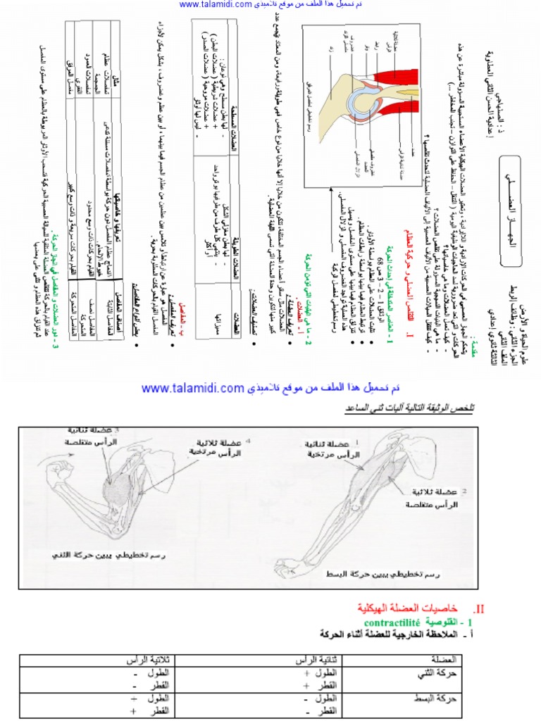 3AC SVT Cours 01 | PDF
