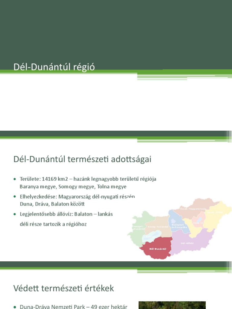 Dél Dunántúl Régió. | PDF