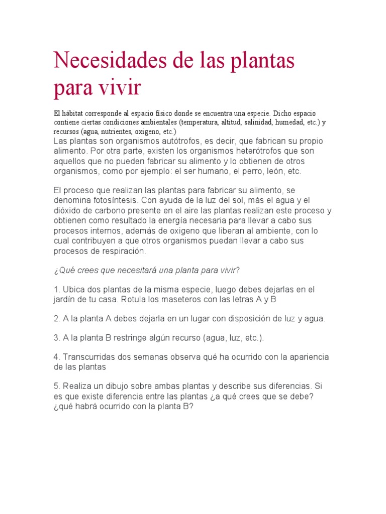 Necesidades de Las Plantas para Vivir | PDF | Tecnología