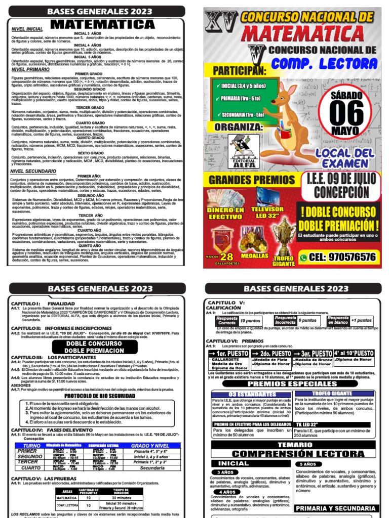 Bases Generales Matematica | PDF