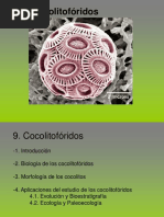 Nanoplancton Calcareo PDF | PDF | Fósil | Algas