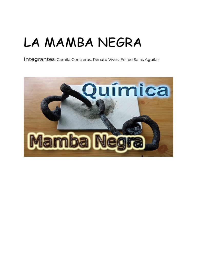 Mamba Negra | PDF