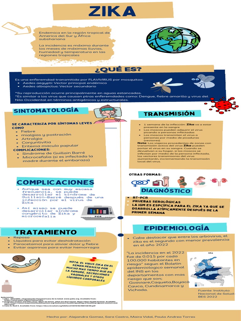 Infografía Zika Final Pdf Fiebre Del Zika Medicina