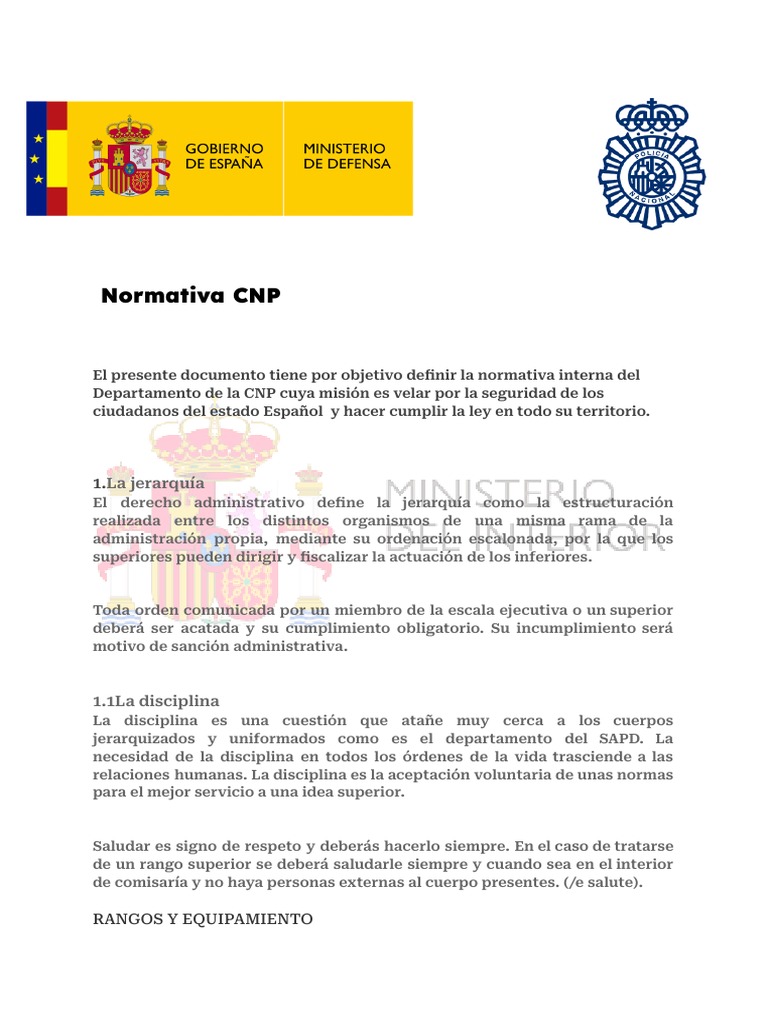 Normativa CNP MultiversoRP | PDF