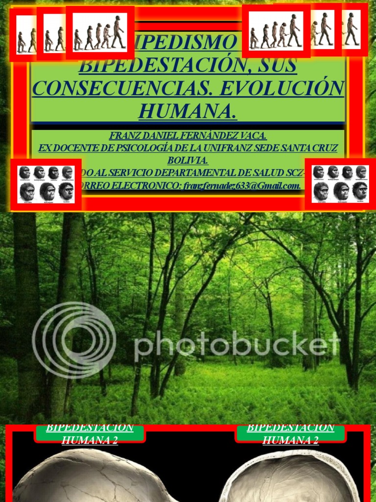 Tema 943. El Bipedismo o Bipesdestación, Sus Efectos, Ventajas y ...