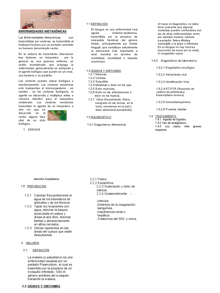 Triptico Enfermedades Metaxénicas | PDF | Malaria | Virus
