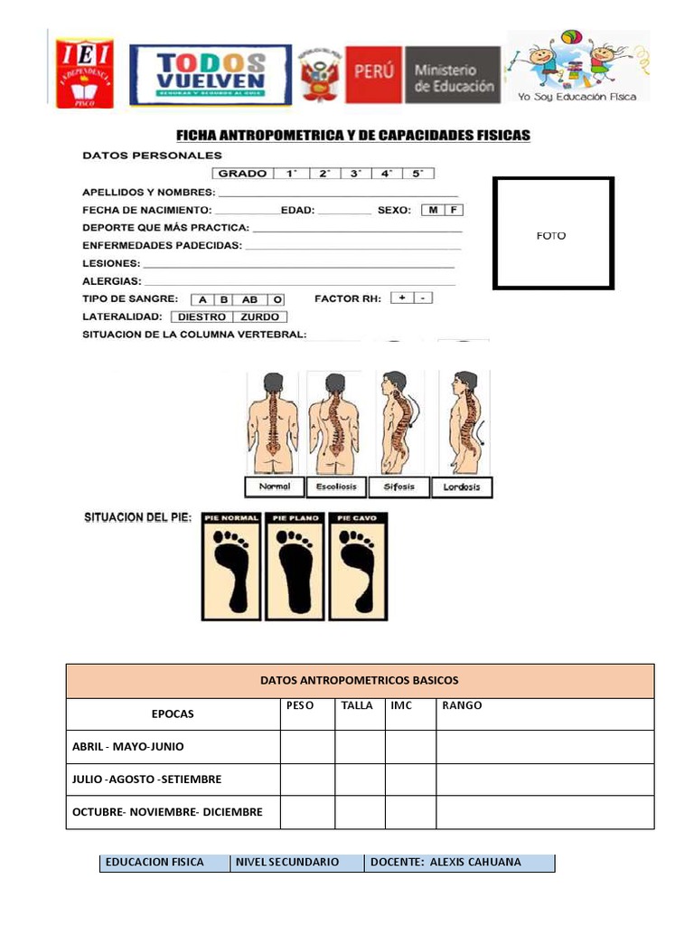 Ficha Datos Antropometricos Basicos | PDF