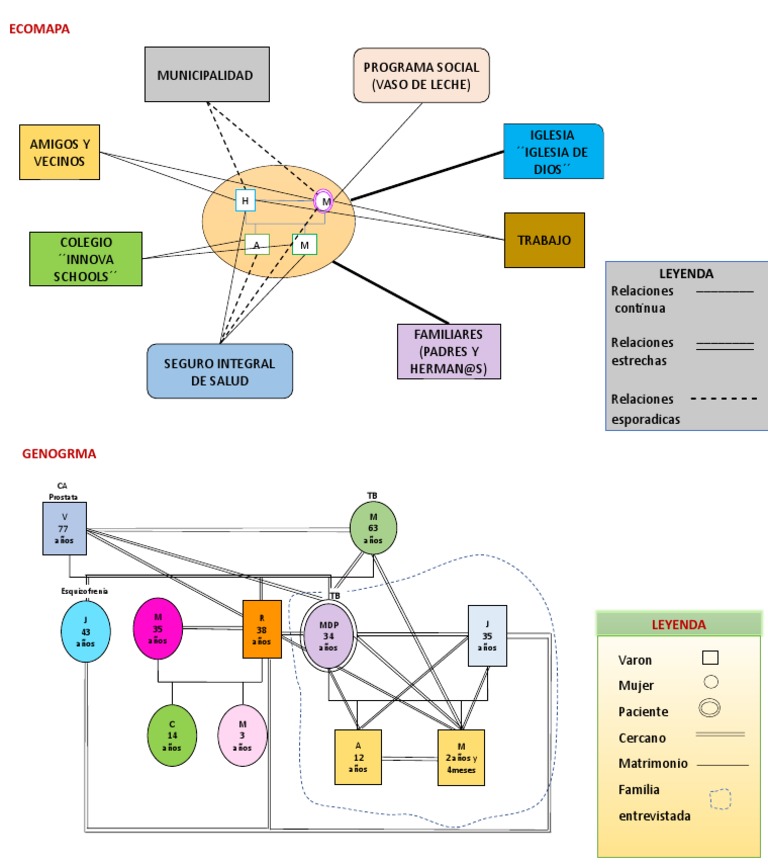 ECOMAPA (Autoguardado) | PDF | Medicina CLINICA | Enfermedades y trastornos