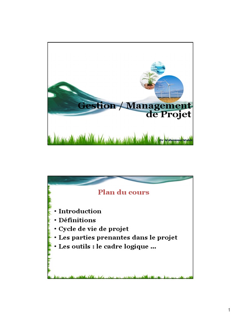 Définition et Gestion de Projet | PDF