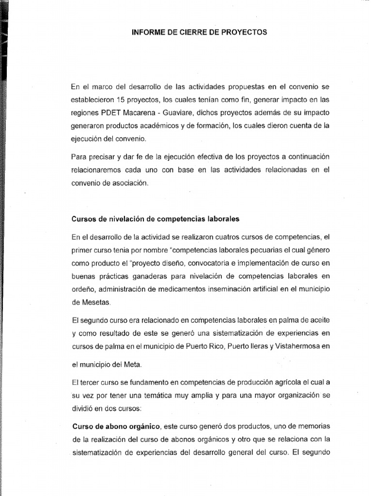 Informe Cierre de Proyectos (1) (1) | PDF