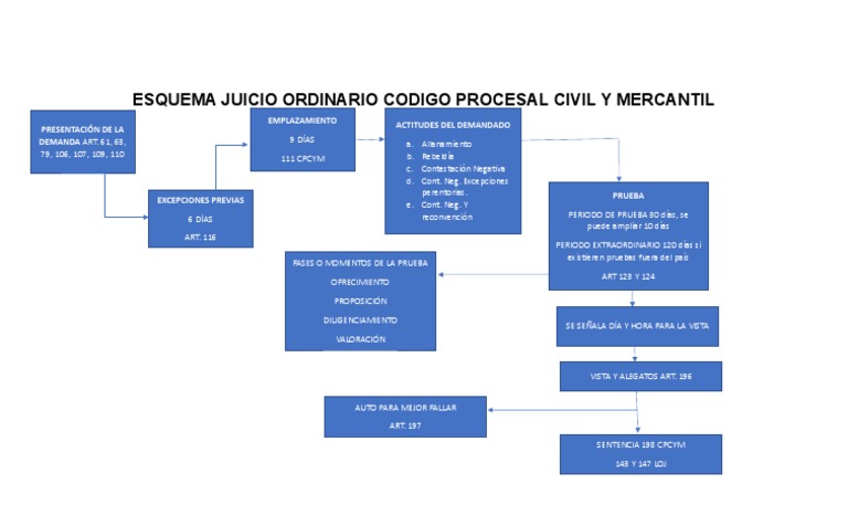 Esquema Juicio Ordinario Codigo Procesal Civil y Mercantil | PDF | Justicia | Crimen y violencia