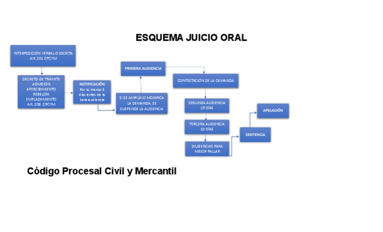 Esquema Juicio Oral | PDF