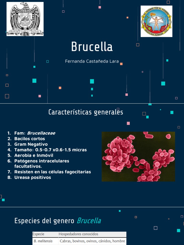 Brucella | PDF | Especialidades Medicas | Inmunología