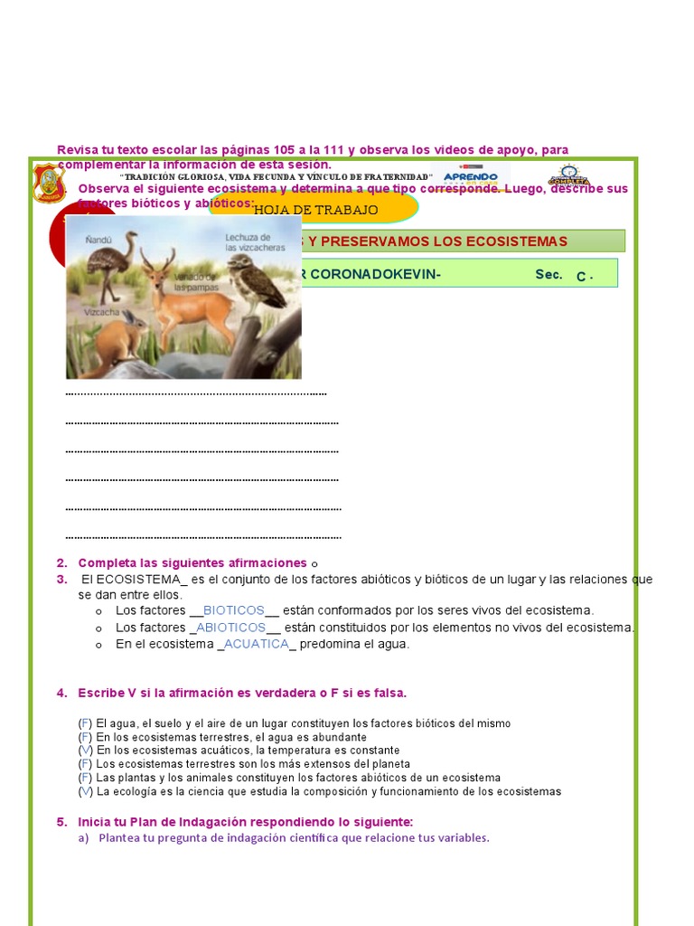 Hoja de Trabajo Ct. 9 Al 13 Agosto | PDF | Ecosistema | Ecología