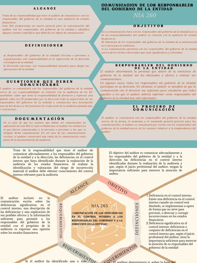 MAPA MENTAL NIA 260 Y 265 | PDF