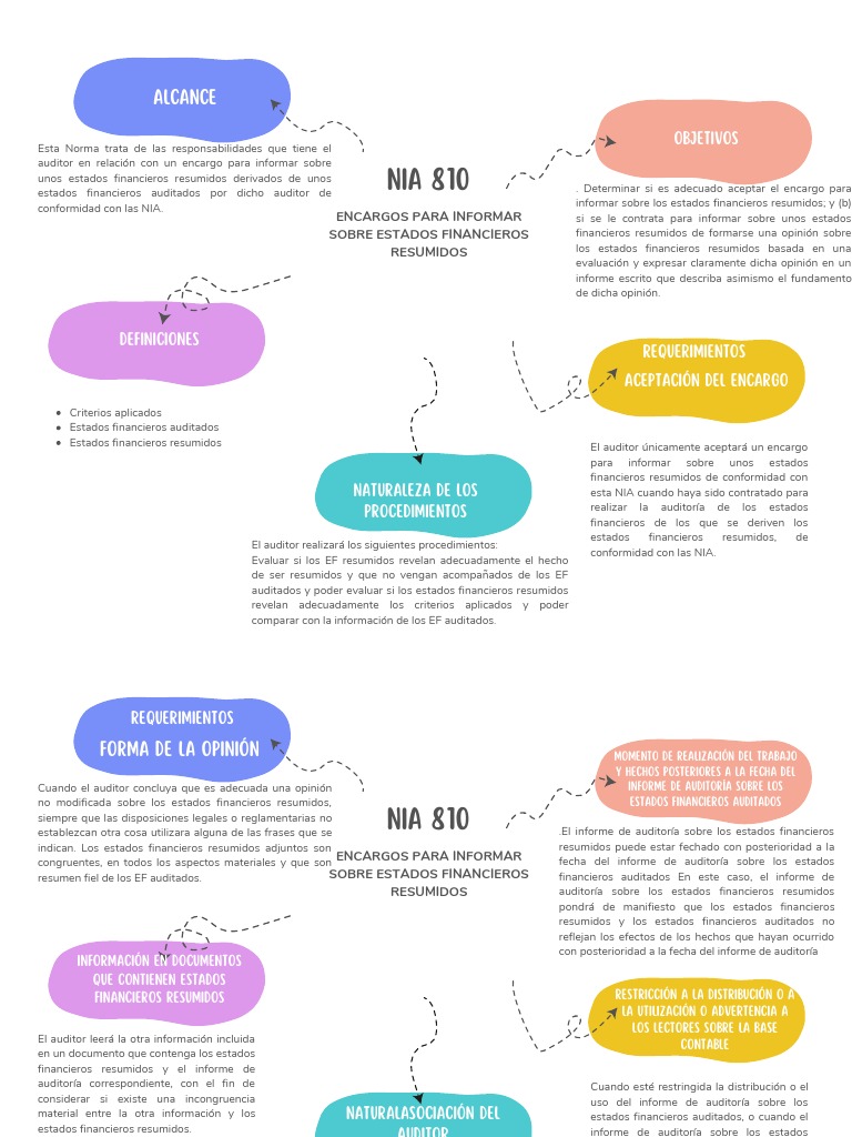 Mapa Mental Nia 810 | PDF | Contralor | Auditoría