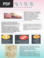 Onicectomía: Procedimiento y Cuidados | PDF | Clavo (anatomía) | Dedo ...