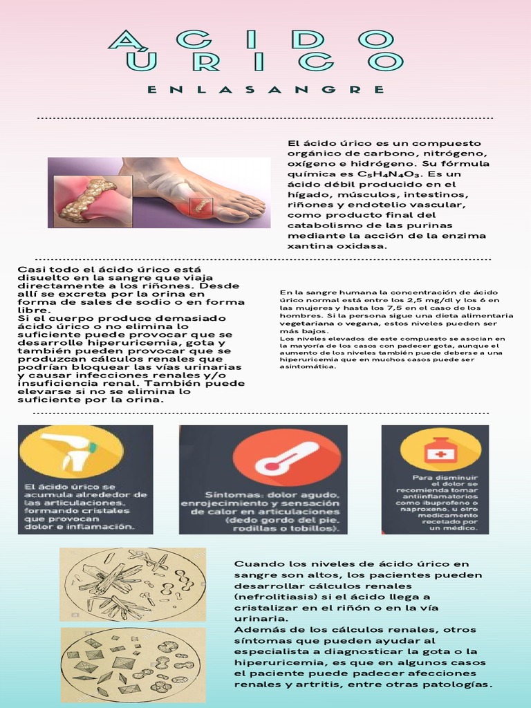 Infografia Acido Úrico | PDF | Gota | Especialidades Medicas