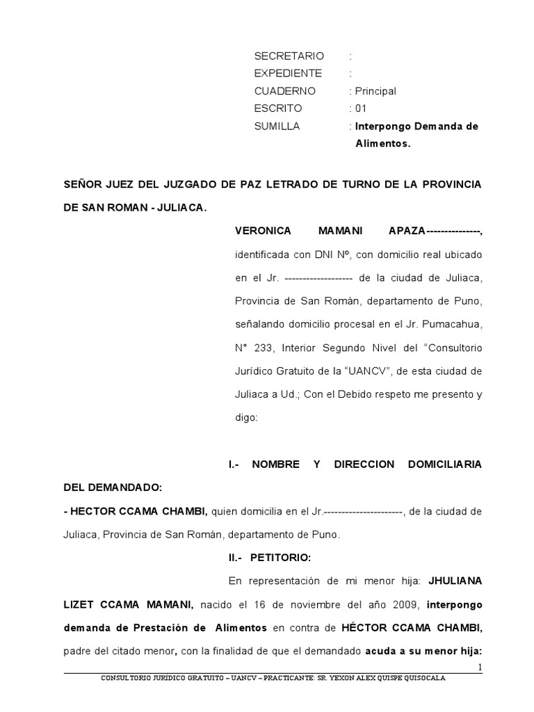 Dda de Alimentos Malinda Ibañez 555 | PDF